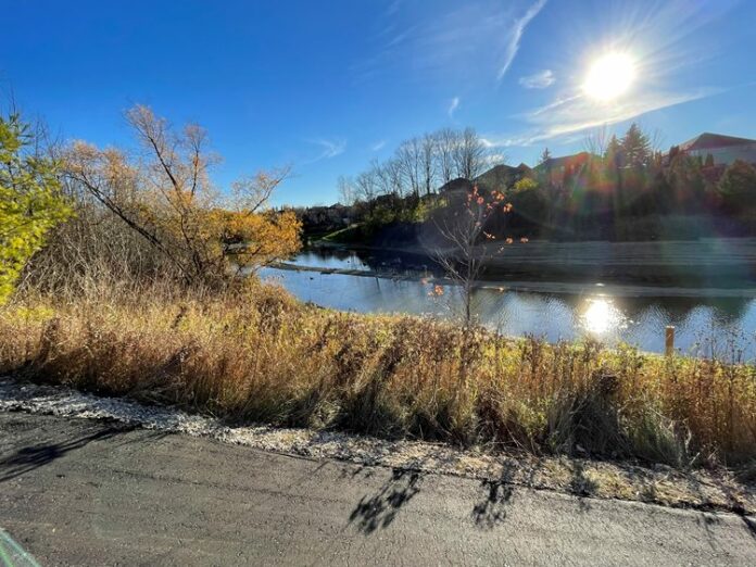 Town of Caledon completes rehabilitation of stormwater management pond ...
