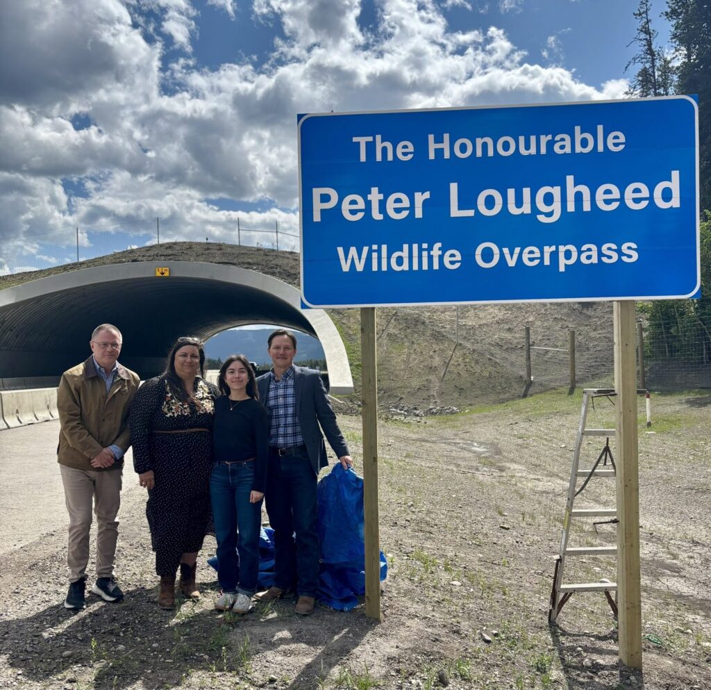 Alberta wildlife overpass dedicated to a former premier Peter Lougheed – ReNew Canada
